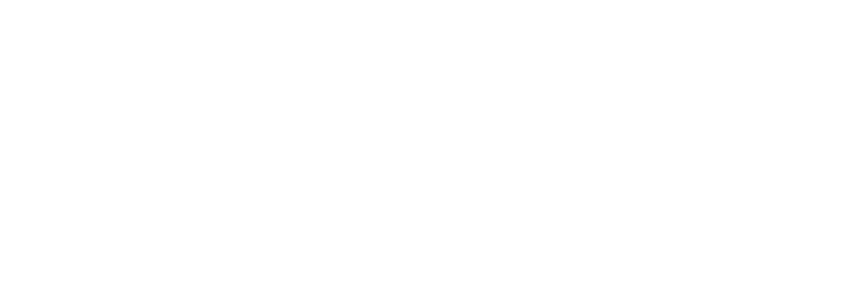 FIDELITY TATTOO
